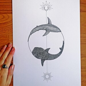TIBURÓN Ballena Y Blanco - Impresión De Arte - Ilustración Del Océano ...