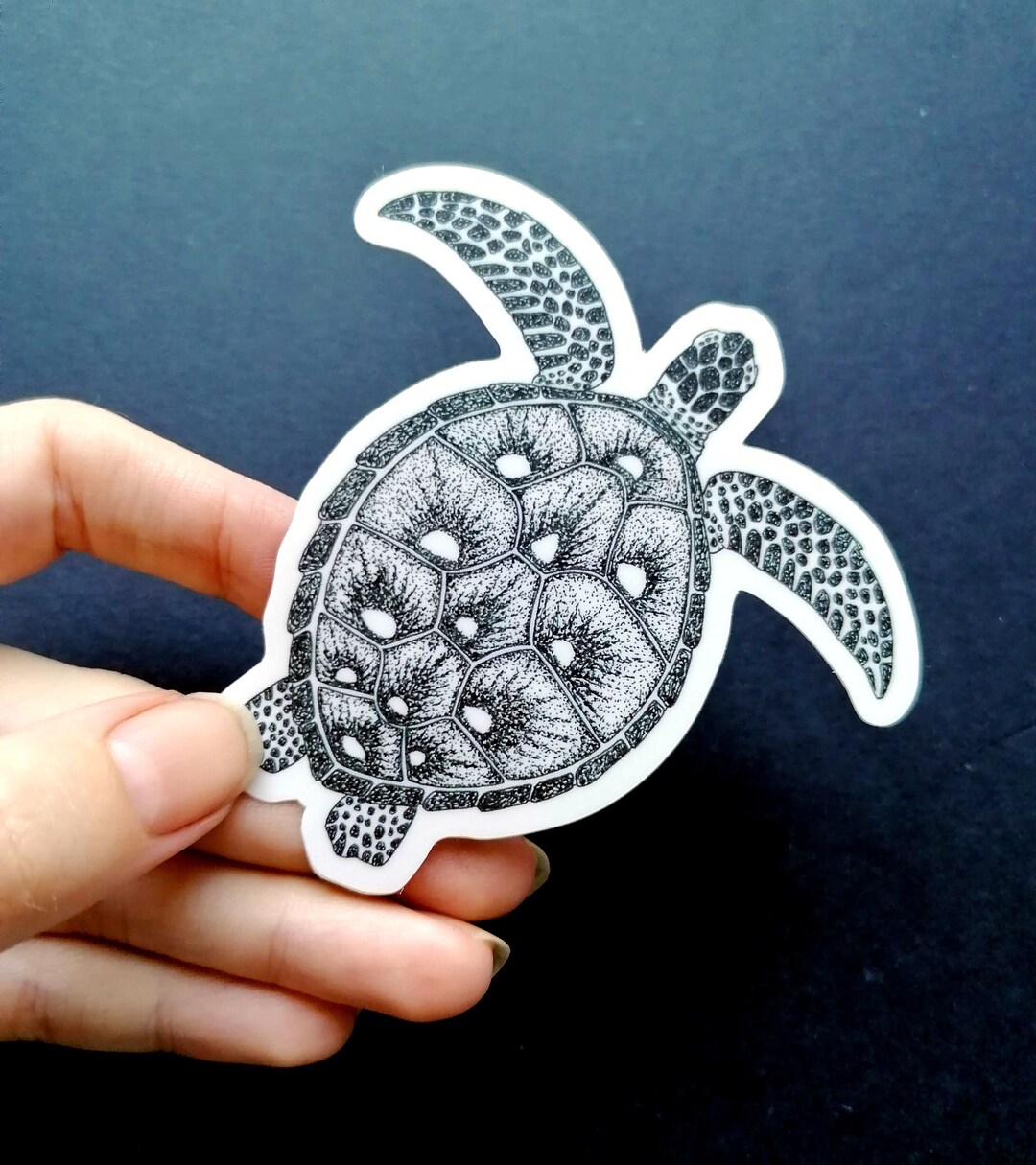 STICKER SEA TURTLE Marine Biology Illustration Swimming Green Sea ...