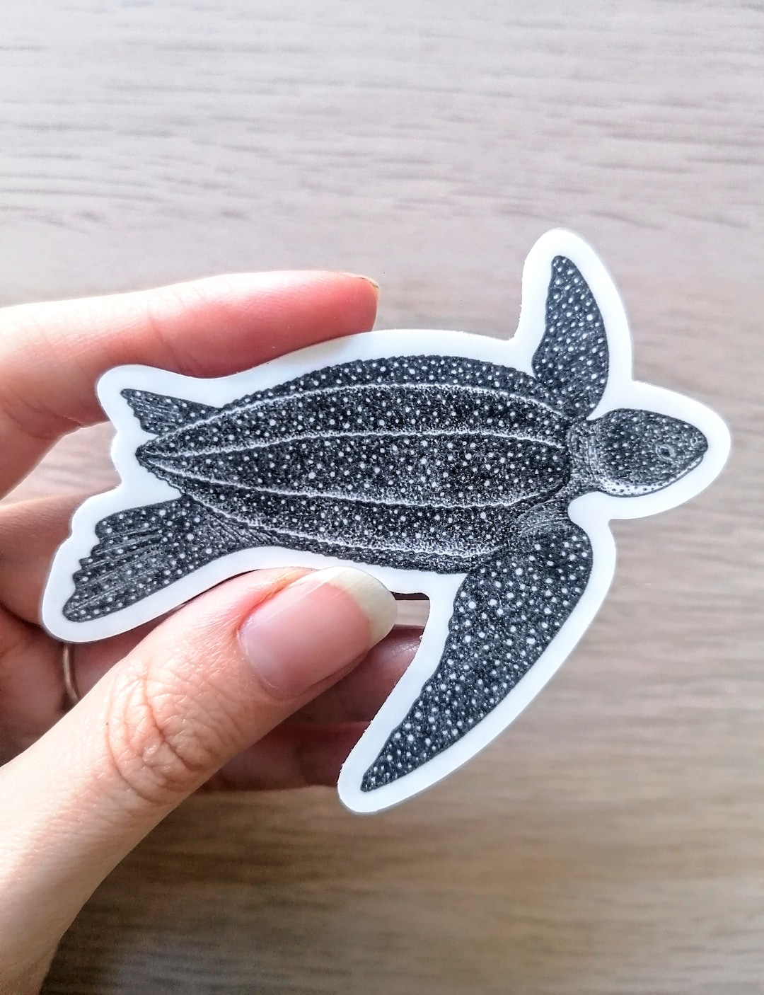 SEA TURTLE STICKER - Leatherback Turtle Sticker - Unique Design ...