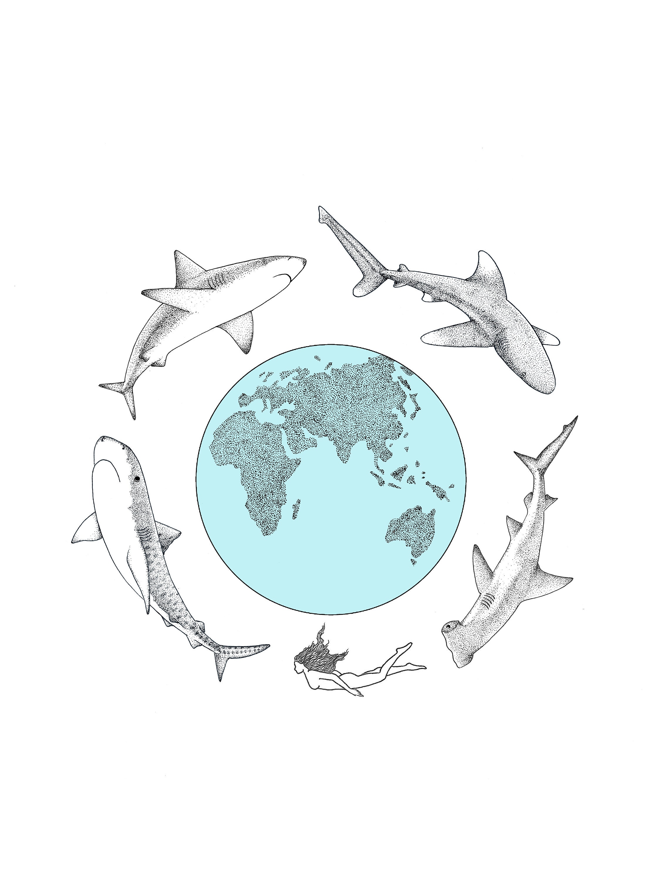 Sharks Art Print Earth Globe Sea Life Illustration Shark - Etsy