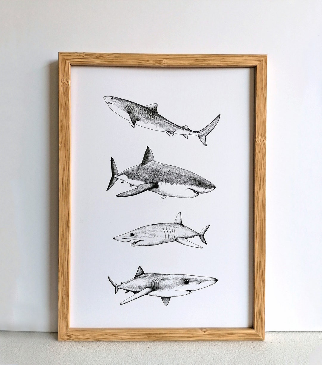 SHARK SPECIES Art Print - Four Different Ones: Tiger, Great White, Mako ...