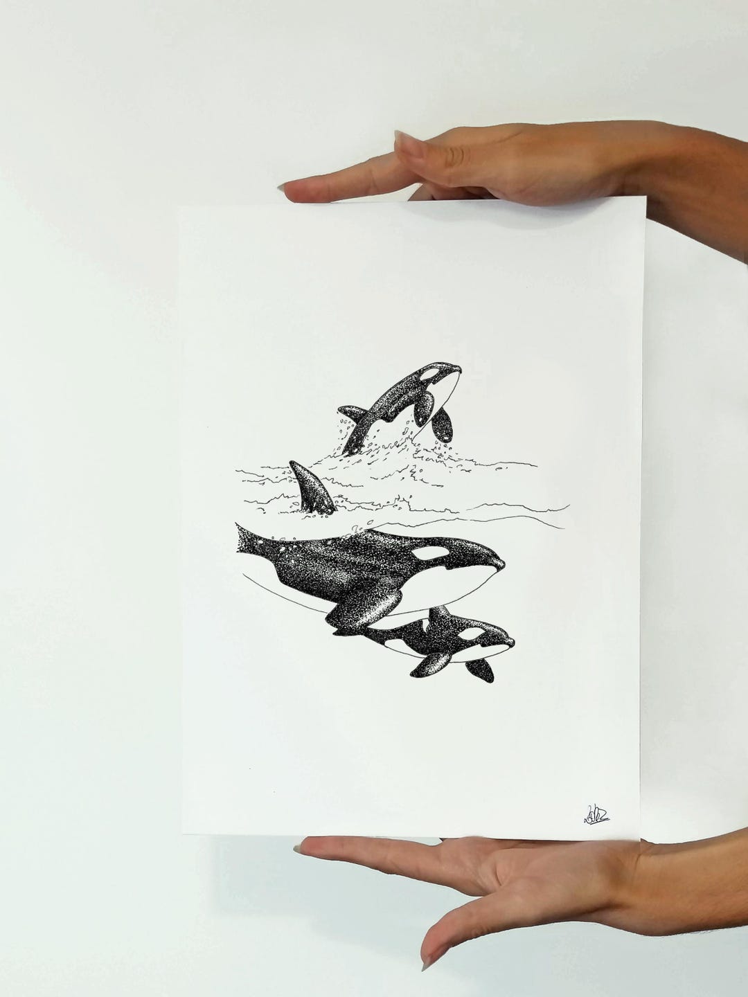 ORCAS Art Print - 3 KILLER WHALES Illustration - Marine Life ...