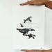 ORCAS Art Print - 3 KILLER WHALES Illustration - Marine Life ...