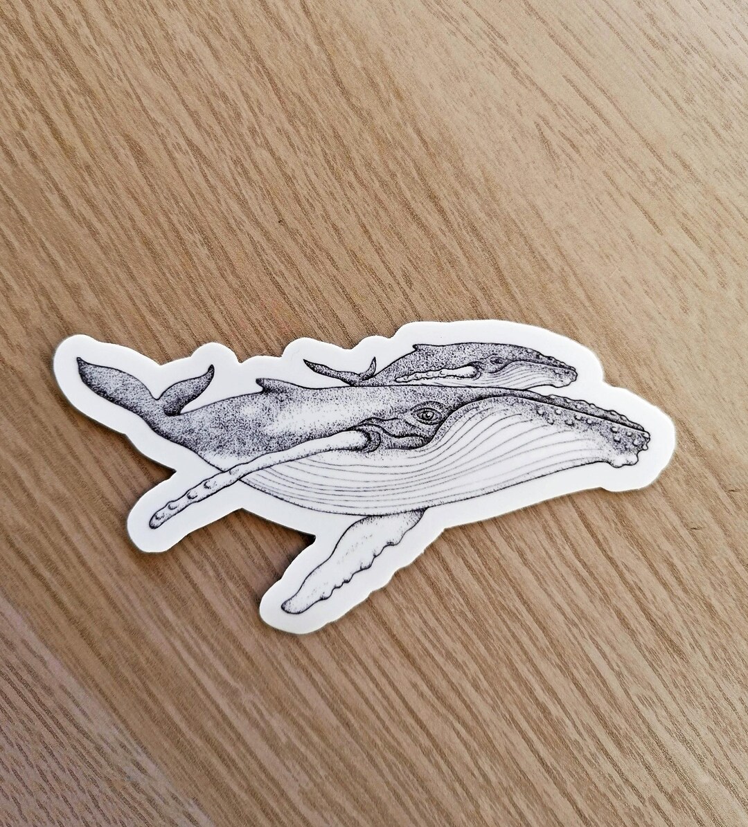 HUMPBACK WHALE STICKER - Humpback Whale and Calf Sticker - Water ...