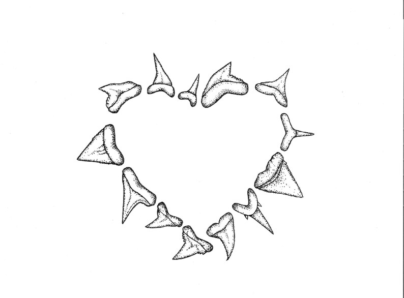 SHARK TEETH Art Print Shark Tooth Print Heart Shape Marine - Etsy