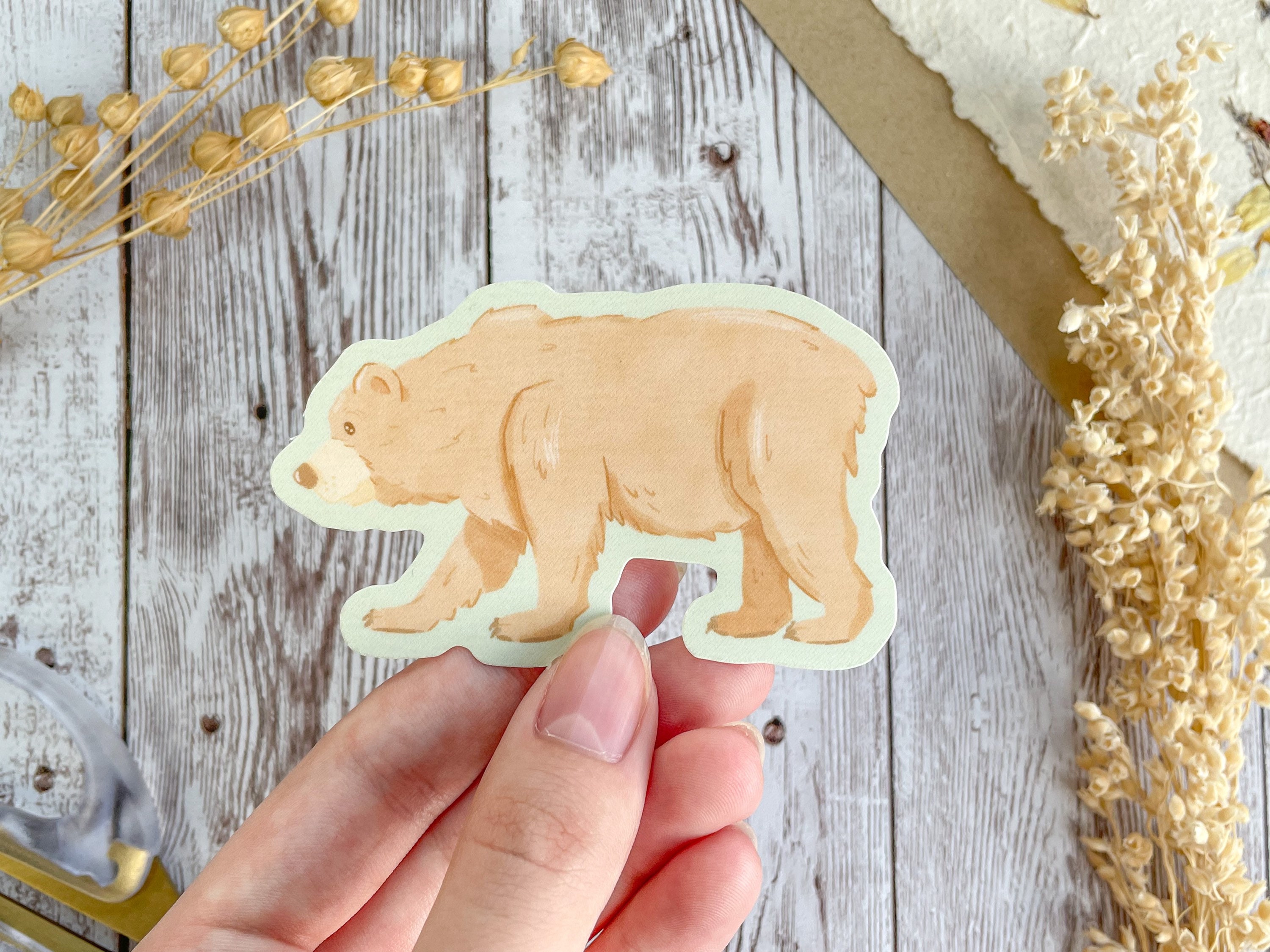 Bear Vinyl Sticker Waterproof Sticker on Glossy Vinyl - Etsy