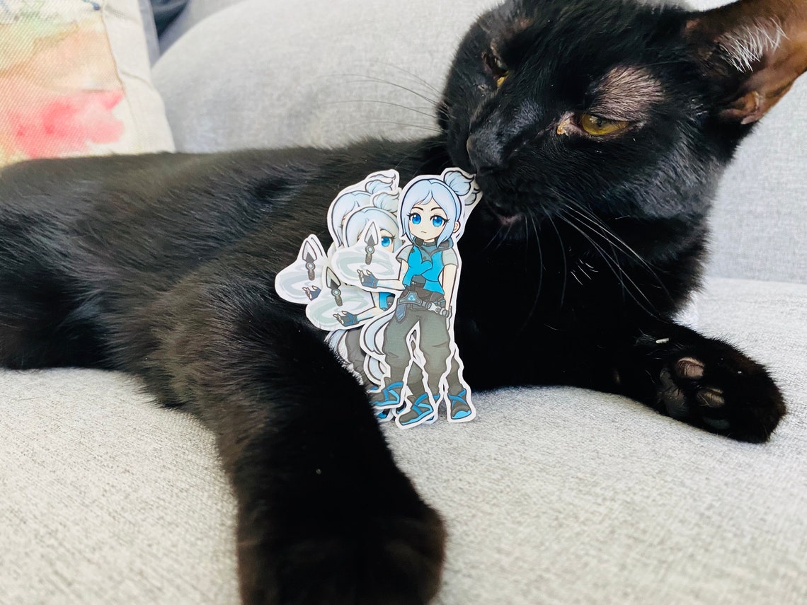 Jett Valorant Cat PFP