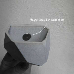 MAGNETIC Any Colour Mini Pot - Fridge Plant Pot - Plant Based - 3D ...