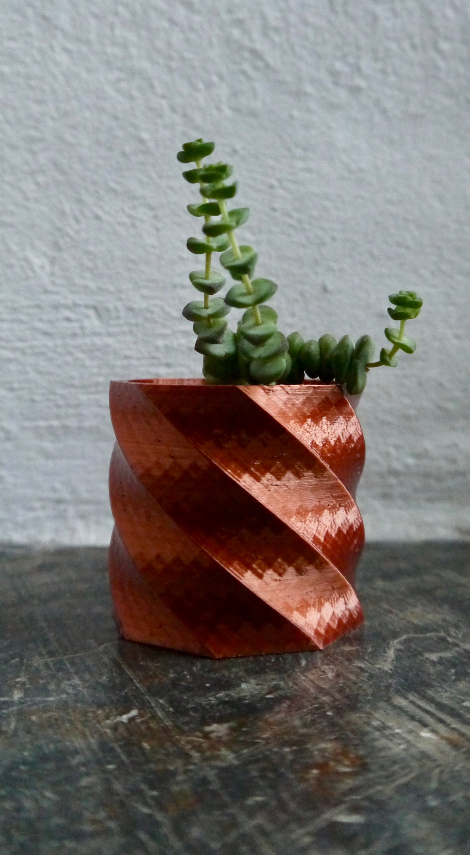 Geometric Twisted Plant Pot SEVERAL COLOURS Plant Based - Etsy UK