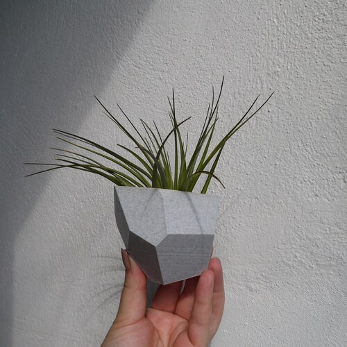 MAGNETIC Any Colour Mini Pot Fridge Plant Pot Plant Based - Etsy