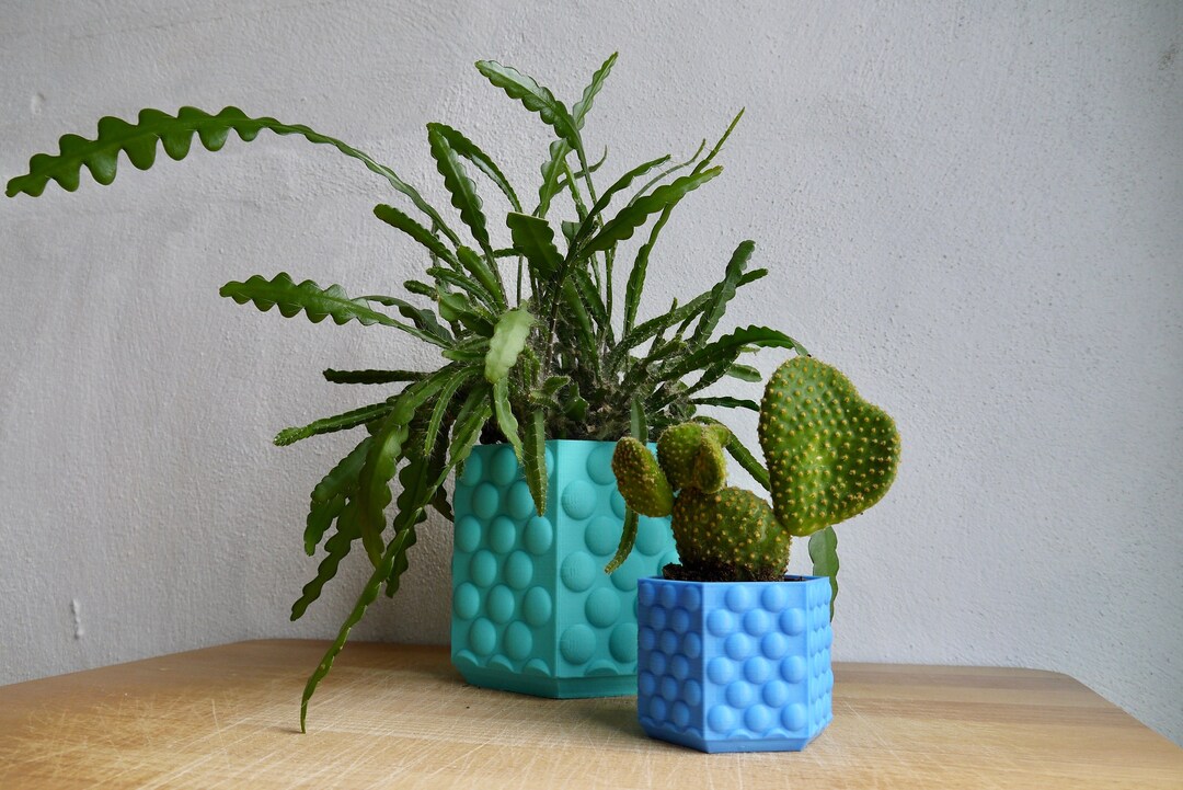 Bubble Textured Plant Pot- Plant Based Plastic - Eco - 3D Printed ...