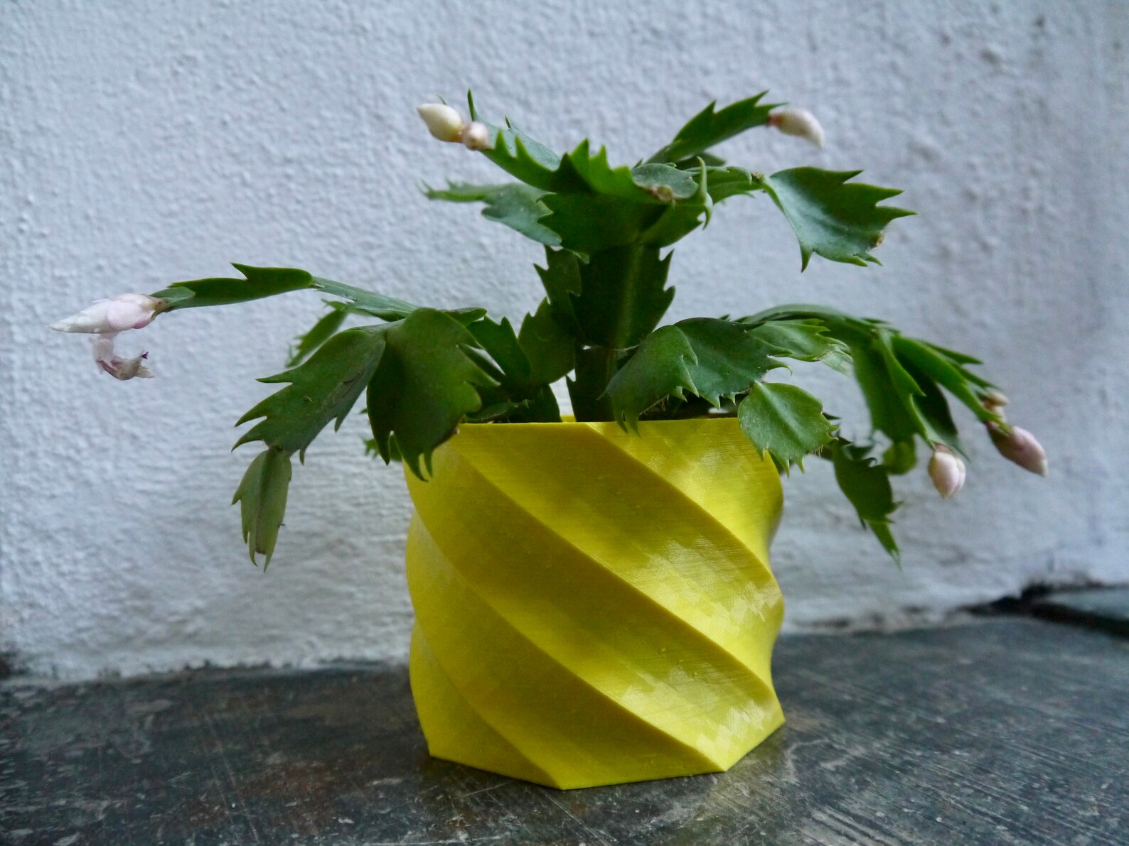 Geometric Twisted Plant Pot SEVERAL COLOURS Plant Based Etsy UK geometric-twisted-plant-pot-several-colours-plant-based-etsy-uk