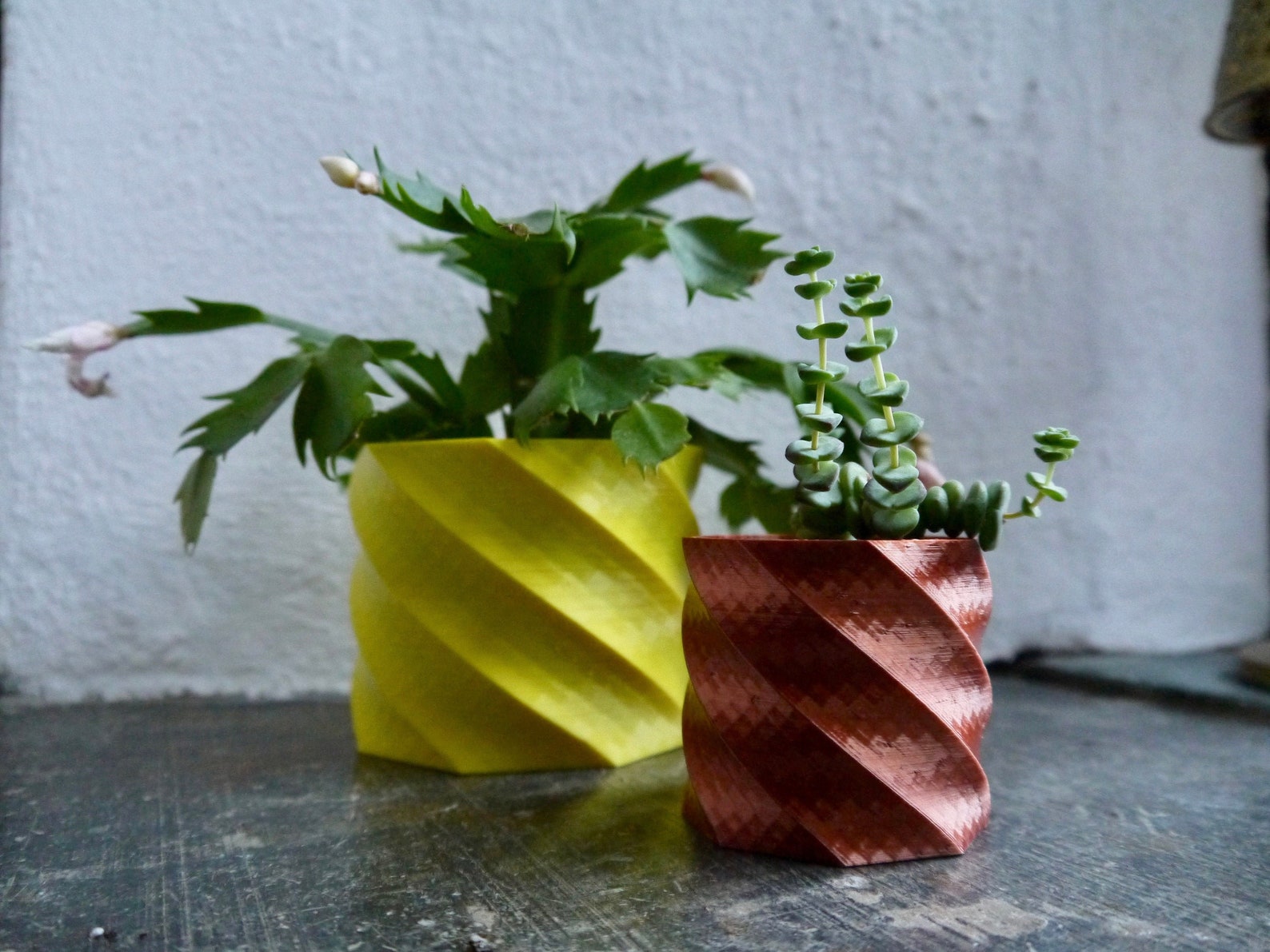 Geometric Twisted Plant Pot SEVERAL COLOURS Plant Based - Etsy UK