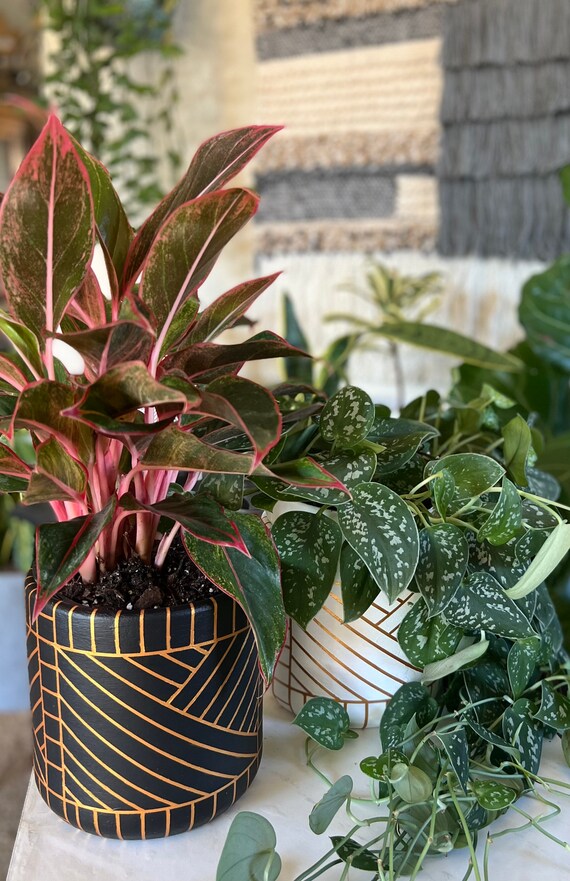 Cleopatra Modern Terracotta Planter Indoor Plant Pot Art | Etsy