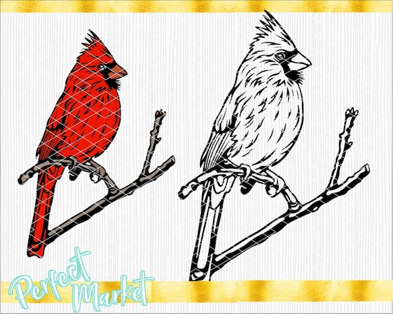 Cardinal Svg Cardinal Bird Svgbird Svg Cardinal Layered | Etsy Canada