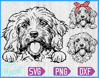 Cockapoo Dog SVG Cricut,cute Puppy Clipart,cockapoo Dog Clipart ...