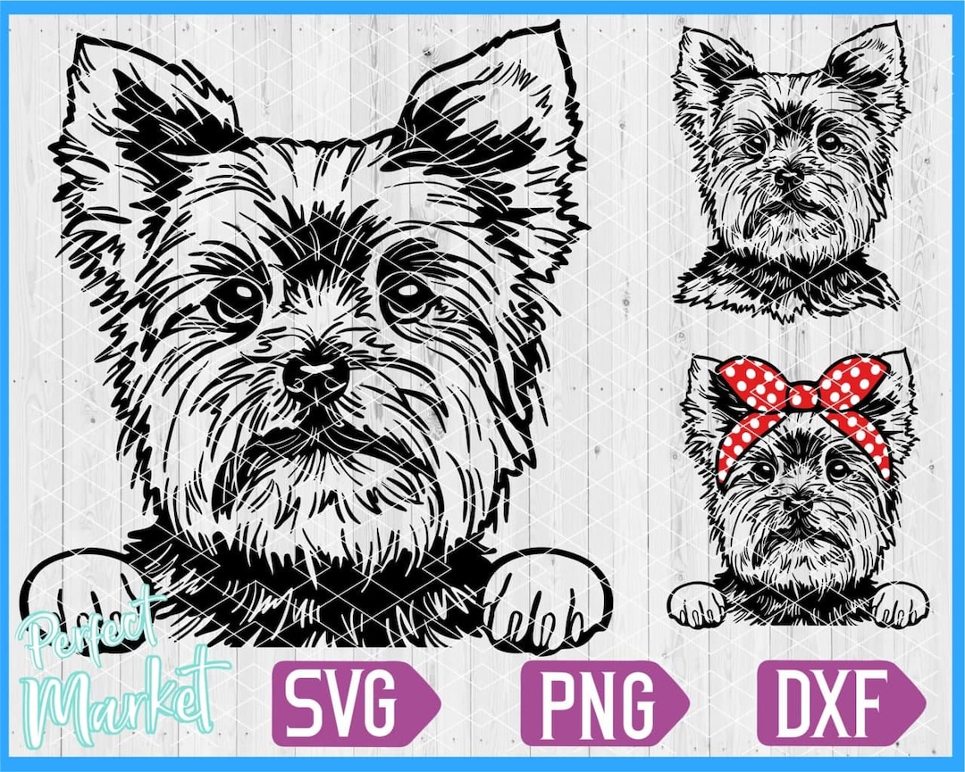 Yorkshire Terrier SVG, Yorkshire Terrier Print Shirt, Yorkshire Dog Svg ...