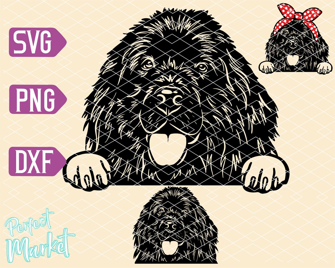 Newfoundland Svg,dog Svg File for Cricut,newfoundland Silhouette ...