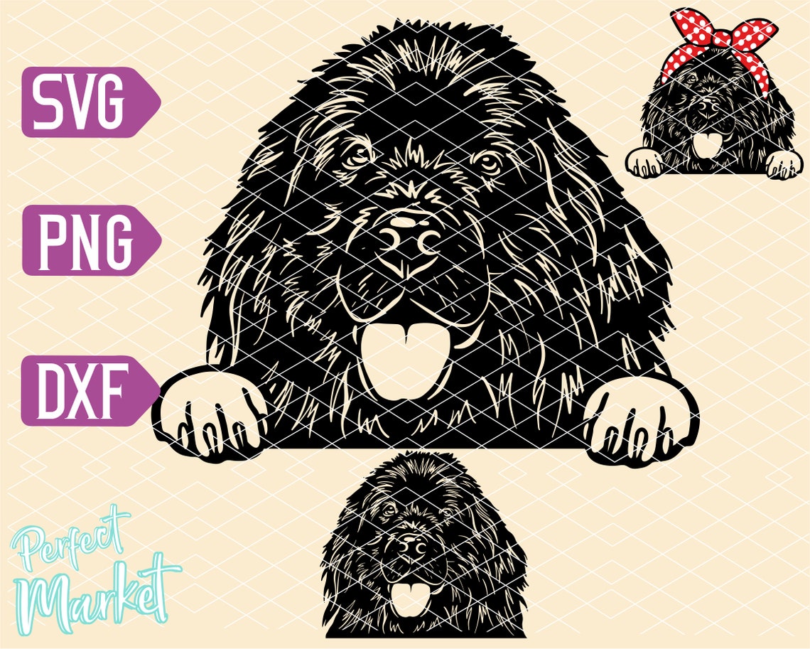 Newfoundland Svgdog Svg File for Cricutnewfoundland | Etsy