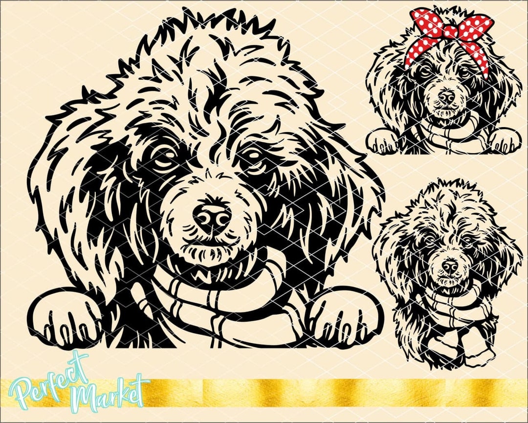 Poodle Svg,poodle Print for Shirt,poodle Dxf Png,french Poodle Clipart ...