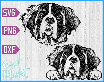 Saint Bernard Dog Svg,saint Bernard Face Svg,saint Bernard Dxf,saint ...