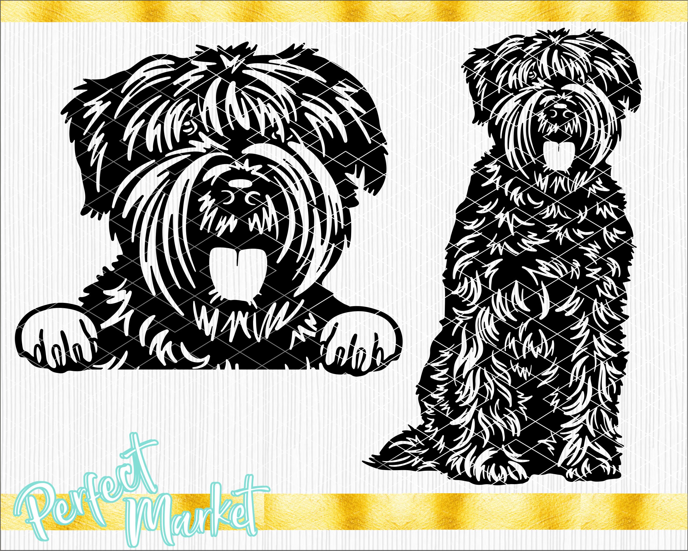 Bouvier Des Flandres White