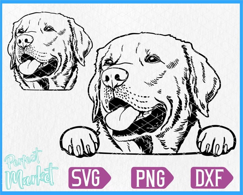 Labrador Face Svgdog Svg Cricut Black Labrador Headlabrador - Etsy
