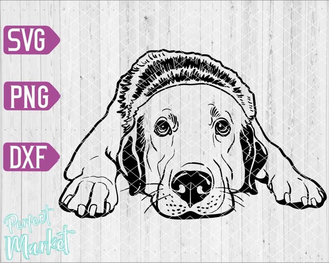 Labrador Face Svgdog Svg Cricut Black Labrador Headlabrador - Etsy
