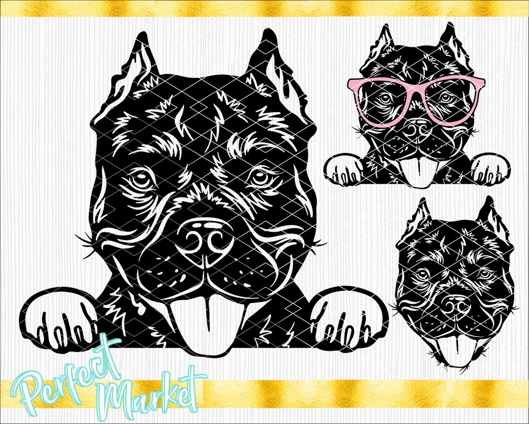 American Bully Svg,american Bully Dog Svg,american Bully Cute Face,dog ...