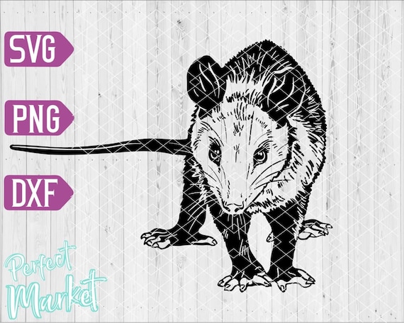 Opossum Svgopossum Clipartopossum Downloadopossum Svg - Etsy