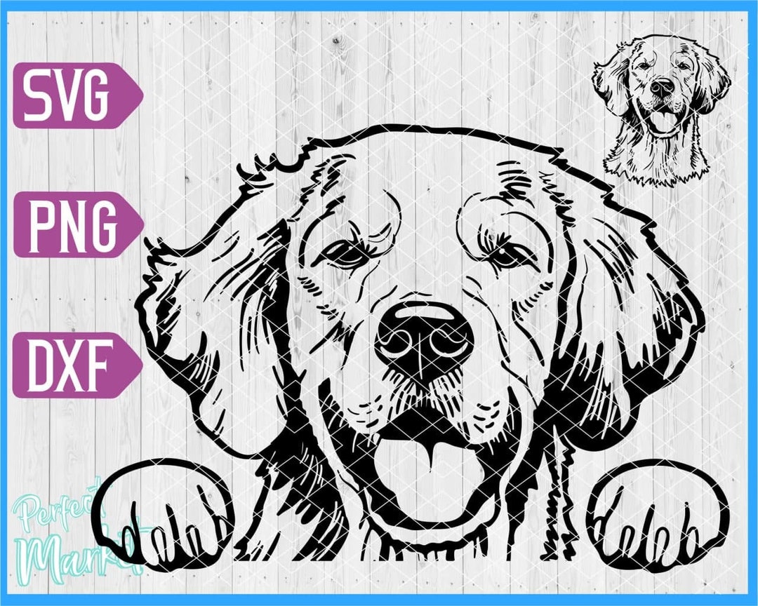 Labrador Face Svg,dog Svg Cricut, Black Labrador Head,labrador ...