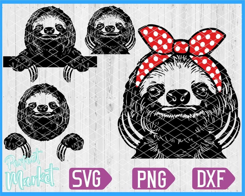 Cute Sloth SVG Filessloth SVG Facesloth Pngcute Sloth - Etsy
