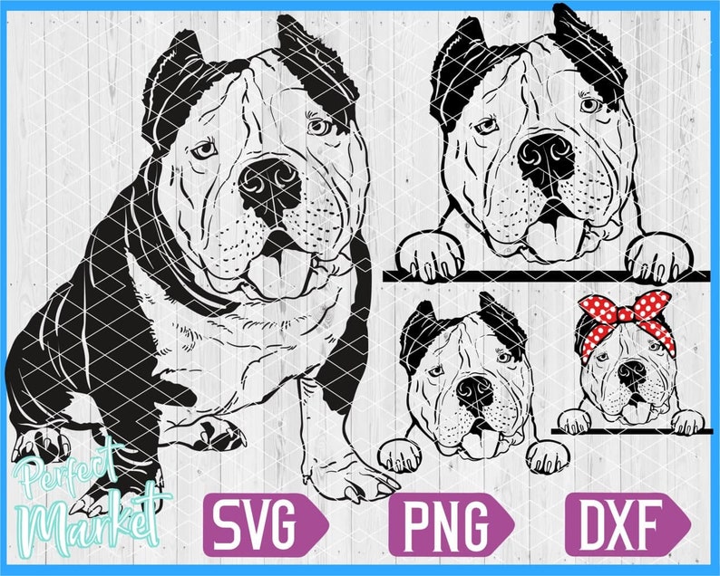 American Bully Svgamerican Bully Dog Svgamerican Bully Cute - Etsy