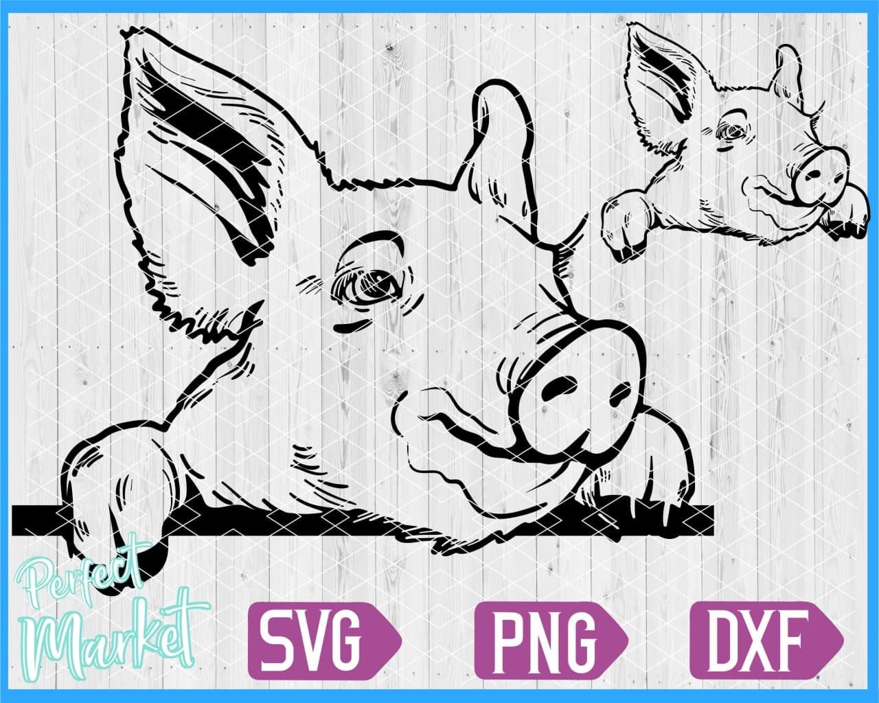 Pork Head Drawing