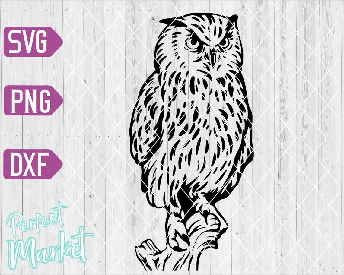 Owl Svg Owl Shirt Svg Owl Cut Files Owl Files Owl Cricut | Etsy