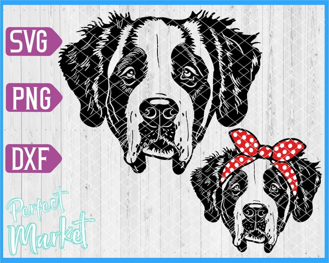 Saint Bernard Dog Svg,saint Bernard Face Svg,saint Bernard Clipart ...