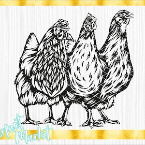 Chicken Svg Files for Cricut Chicken for Shirt Chicken PNG - Etsy