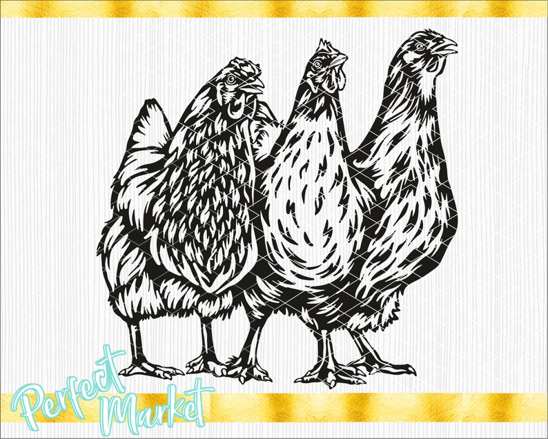 Chicken Svg Files for Cricut Chicken for Shirt Chicken PNG - Etsy