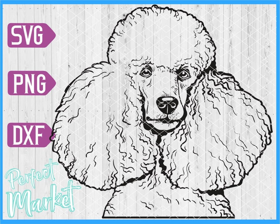 Poodle Svg,poodle Print for Shirt,poodle Dxf Png,french Poodle Clipart ...