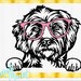 Cockapoo Dog SVG Cricutcute Puppy Clipartcockapoo Dog - Etsy