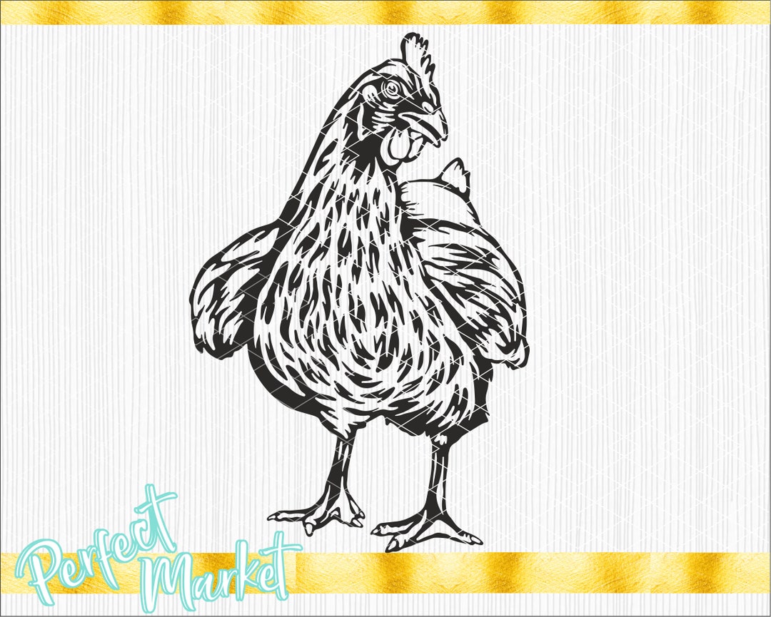 Chicken Svg Files for Cricut Chicken for Shirt Chicken PNG - Etsy