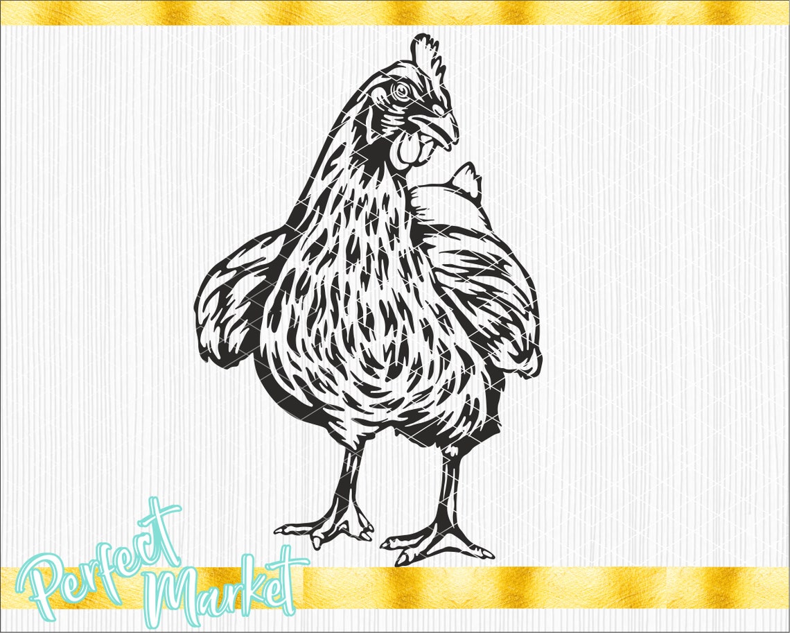 Chicken Svg Files for Cricut Chicken for Shirt Chicken PNG - Etsy