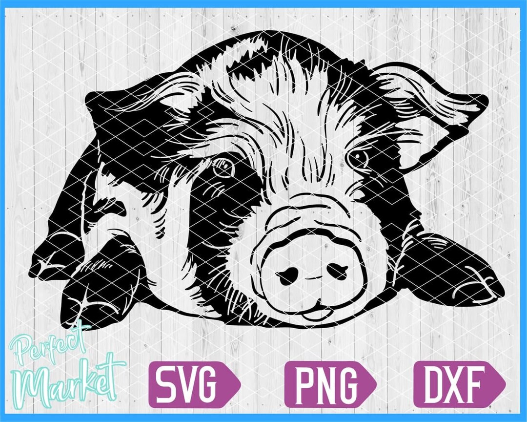 Pig Funny Face Svg, Pig Svg Files for Cricut, Pig Svg Files, Pig Dxf ...