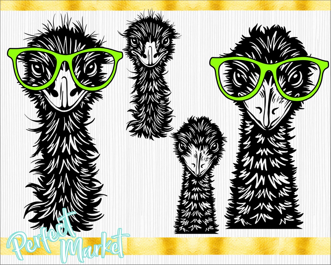 Cute Emu Head Svg Cricutcute Emu Svgcute Emu Dxfcute Emu - Etsy