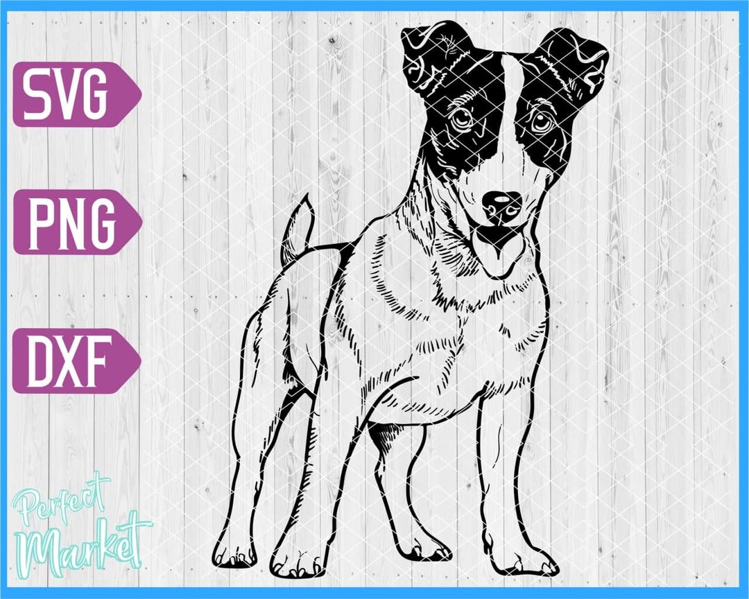 Jack Russell Terrier Svg,russell Terrier Face for Shirt,russell Terrier ...