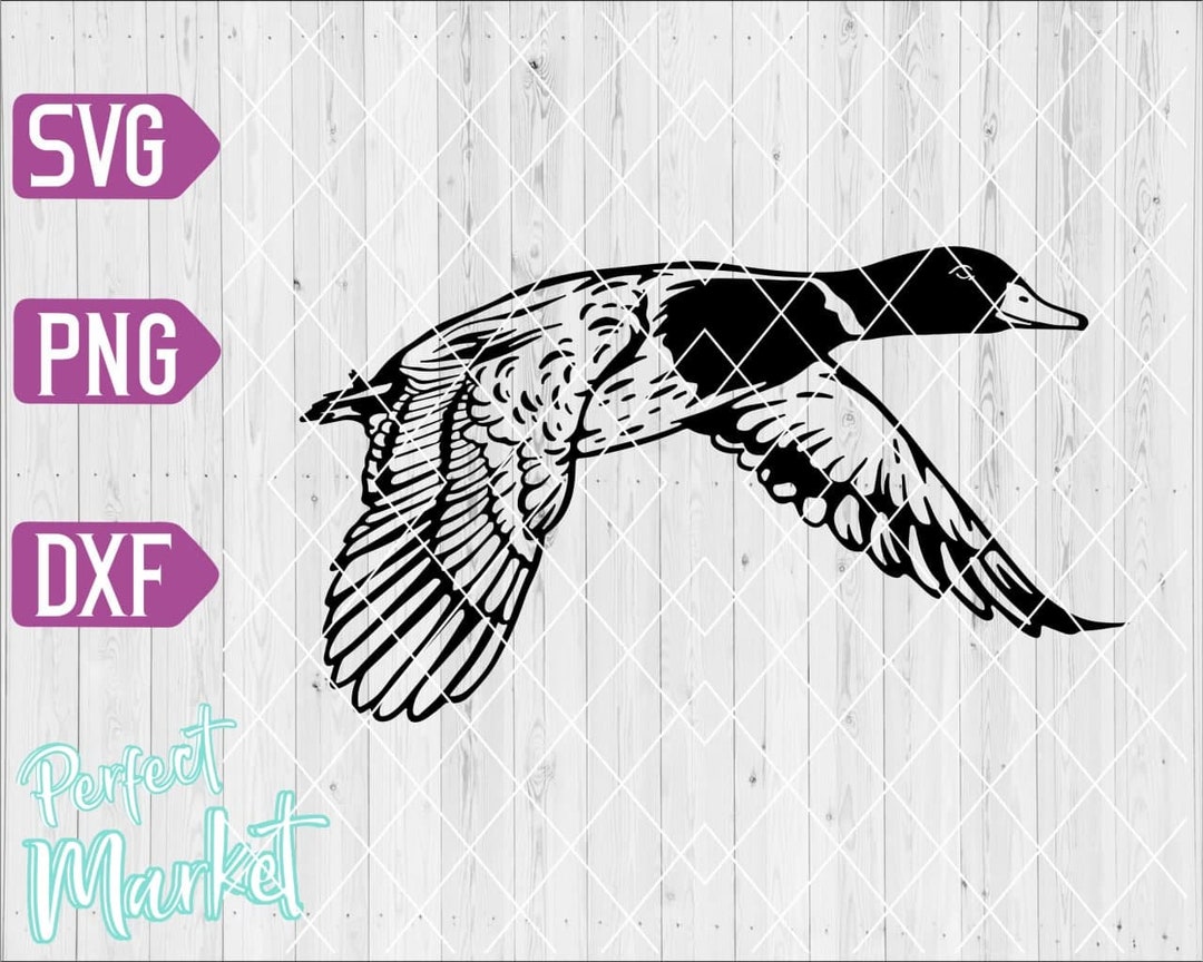 Duck Farm Animal Svg,duck Download,duck Shirt,duck Svg Files for Cricut ...