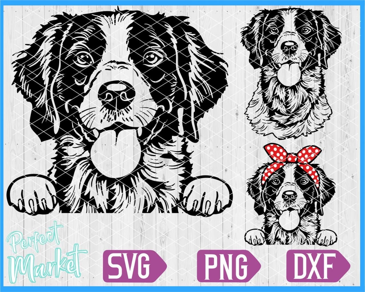 Brittany Spaniel Svg Dog Svg Files for Cricutcute Face - Etsy