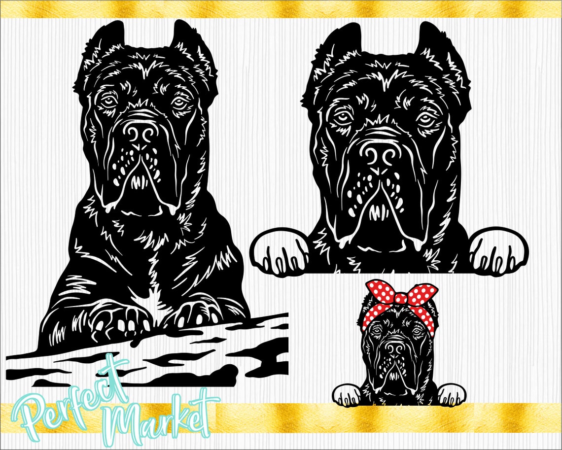 Cane Corso Svgdog Face Vectorcane Corso Clipartcane Corso | Etsy