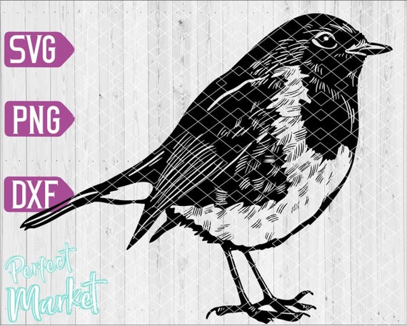 Robin Svgrobin Cut Filesrobin Bird Vector Files for | Etsy