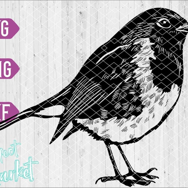 Robin Svg - Etsy UK